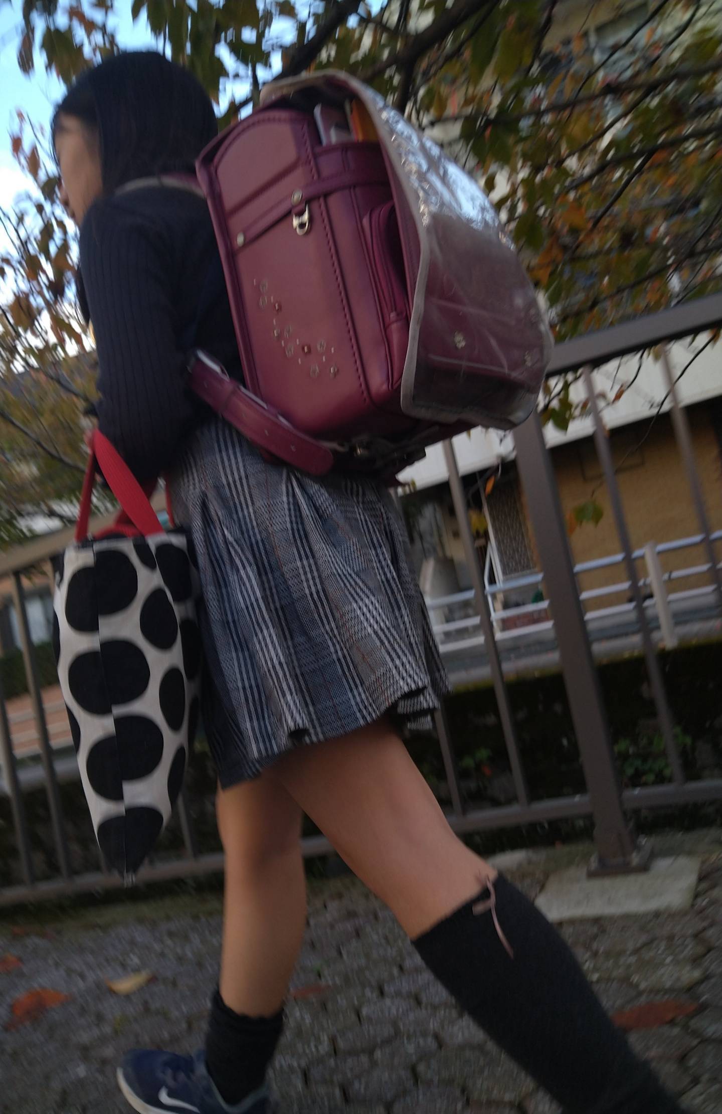街撮りjs 1914746 1461 1