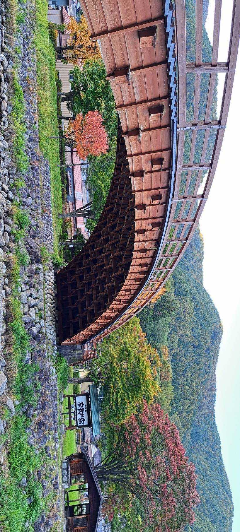 美咲 &ネコ丸 御主人様 は露出がお好き 1927887 1604 1