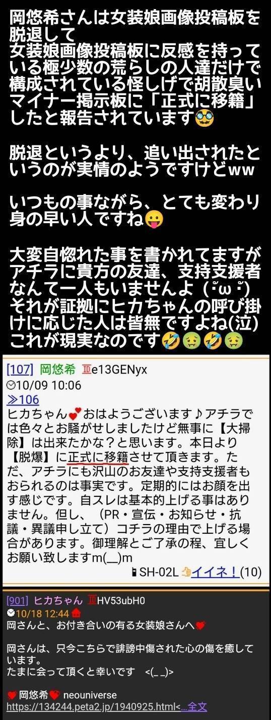 ｽﾄｯｷﾝｸﾞﾌｪﾁ 三日月の遠い記憶 1945755 2249 1